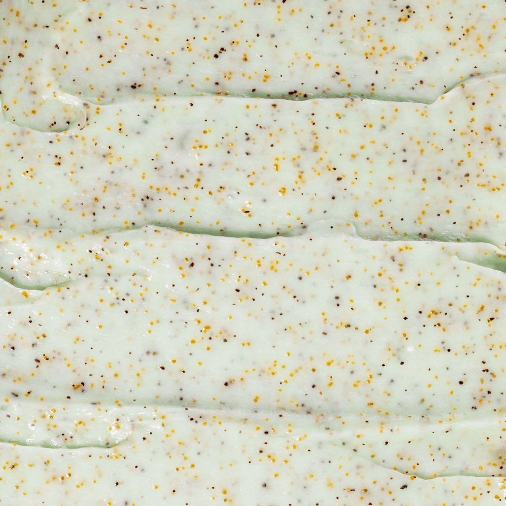 Umberto Giannini | Travel Size 50ml | Scalp Scrub Anti-Dandruff Exfoliator